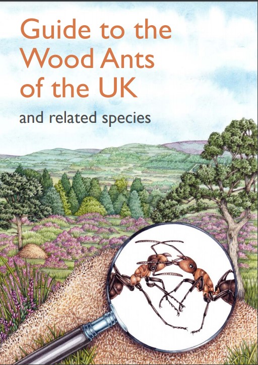 cover - Lizzie Harper