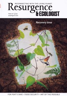 Resurgence & Ecologist Magazine - Lizzie Harper