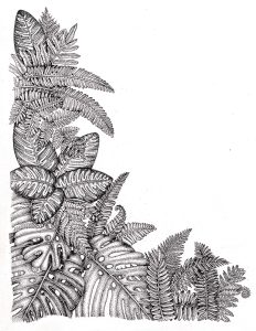 Striped Patterns in Nature - Lizzie Harper