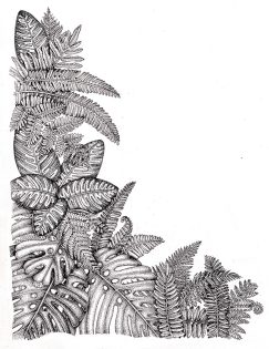 Striped Patterns in Nature - Lizzie Harper