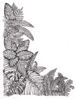 Striped Patterns in Nature - Lizzie Harper