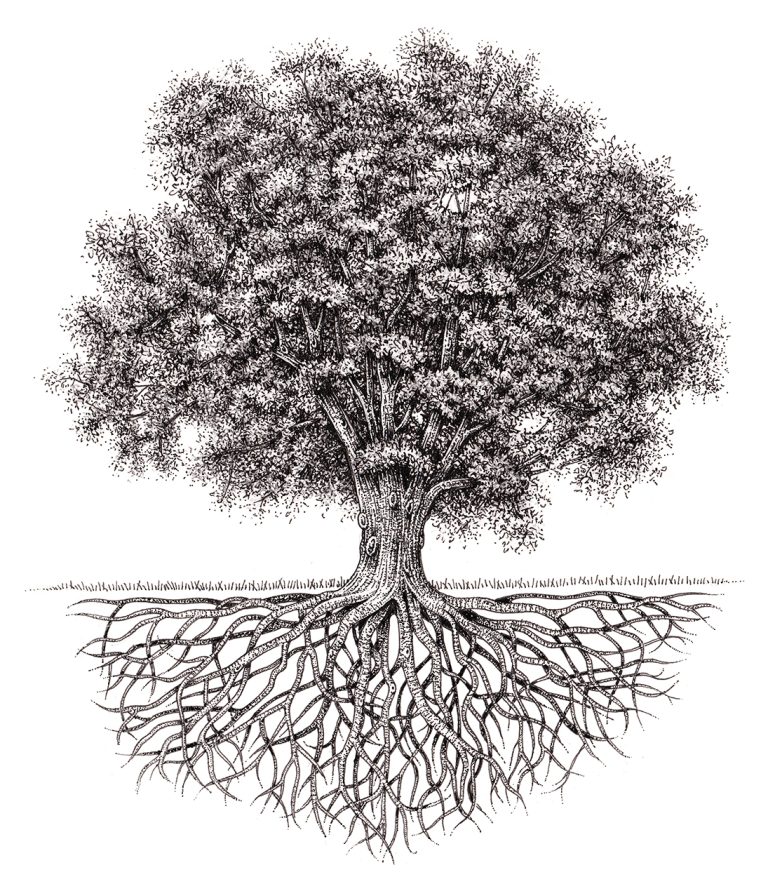 Carbon Cycle: A Complicated Illustration - Lizzie Harper