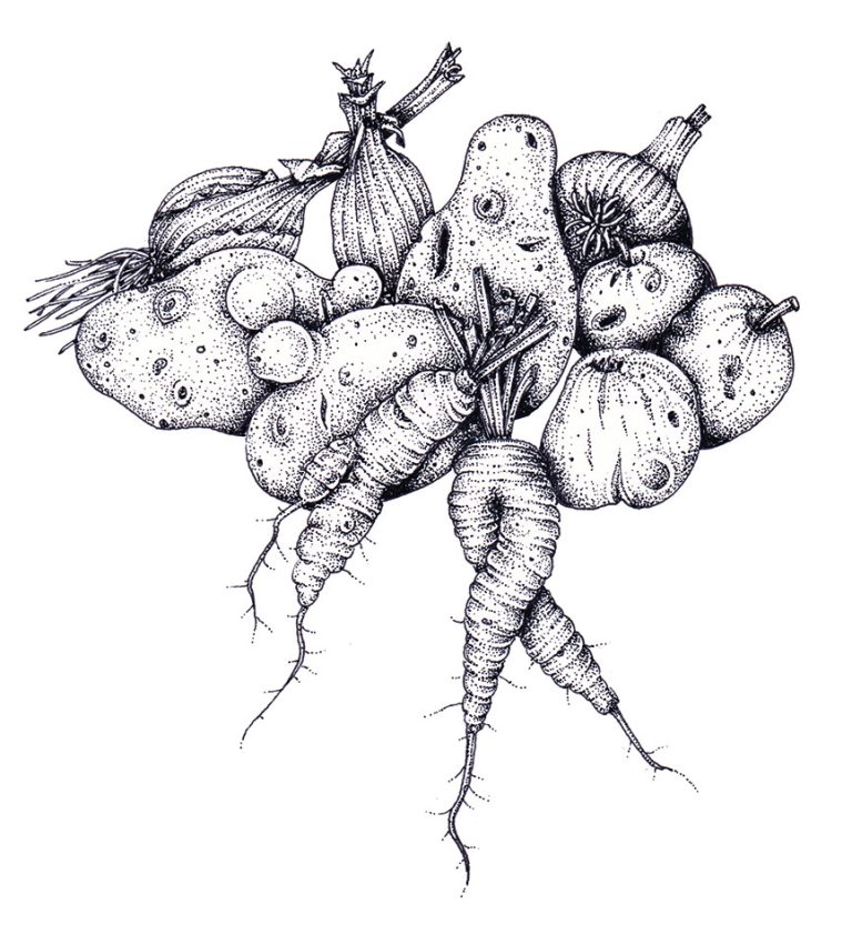 Wonky vegetables and fruit - Lizzie Harper