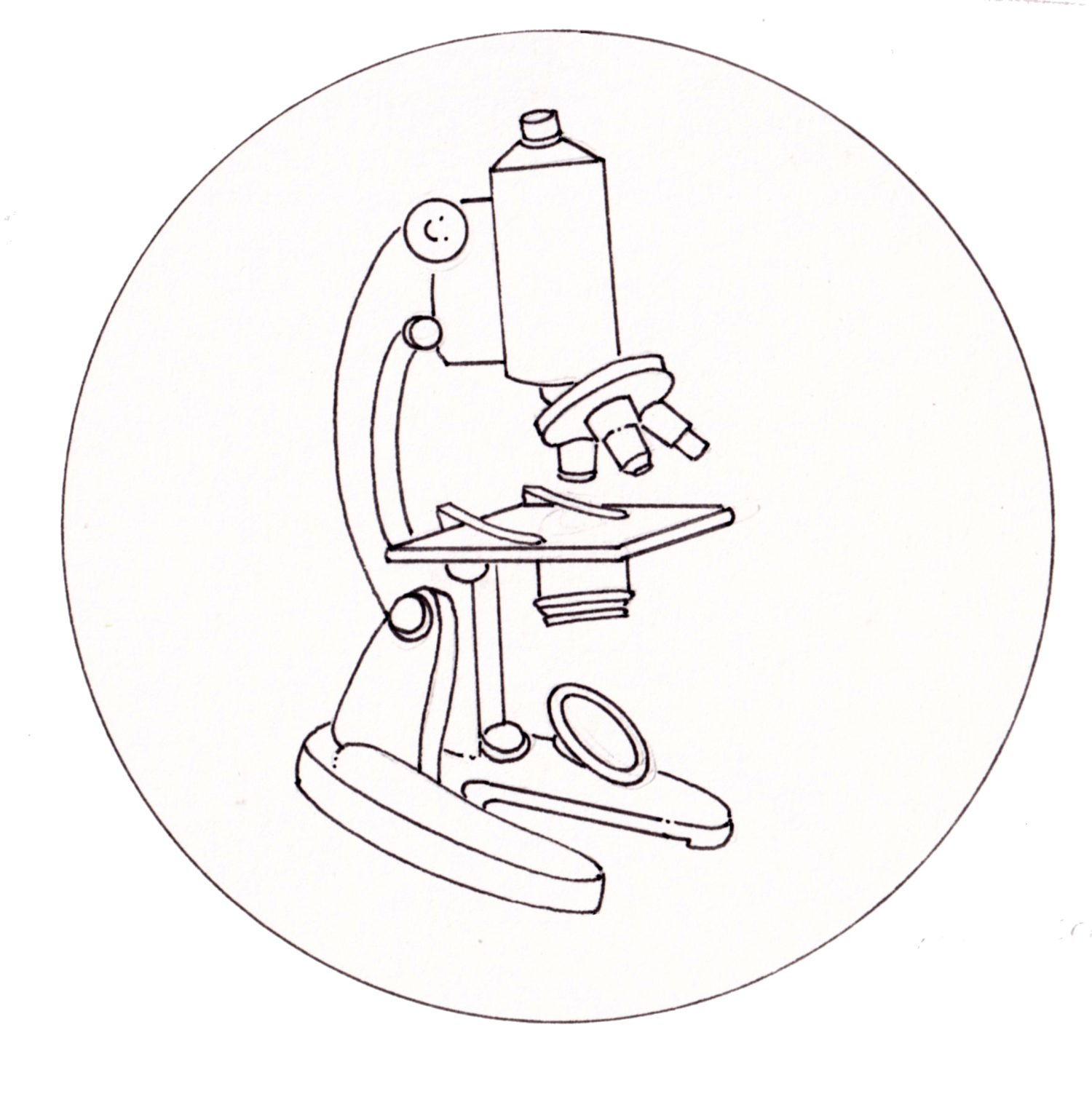compound microscope - Lizzie Harper