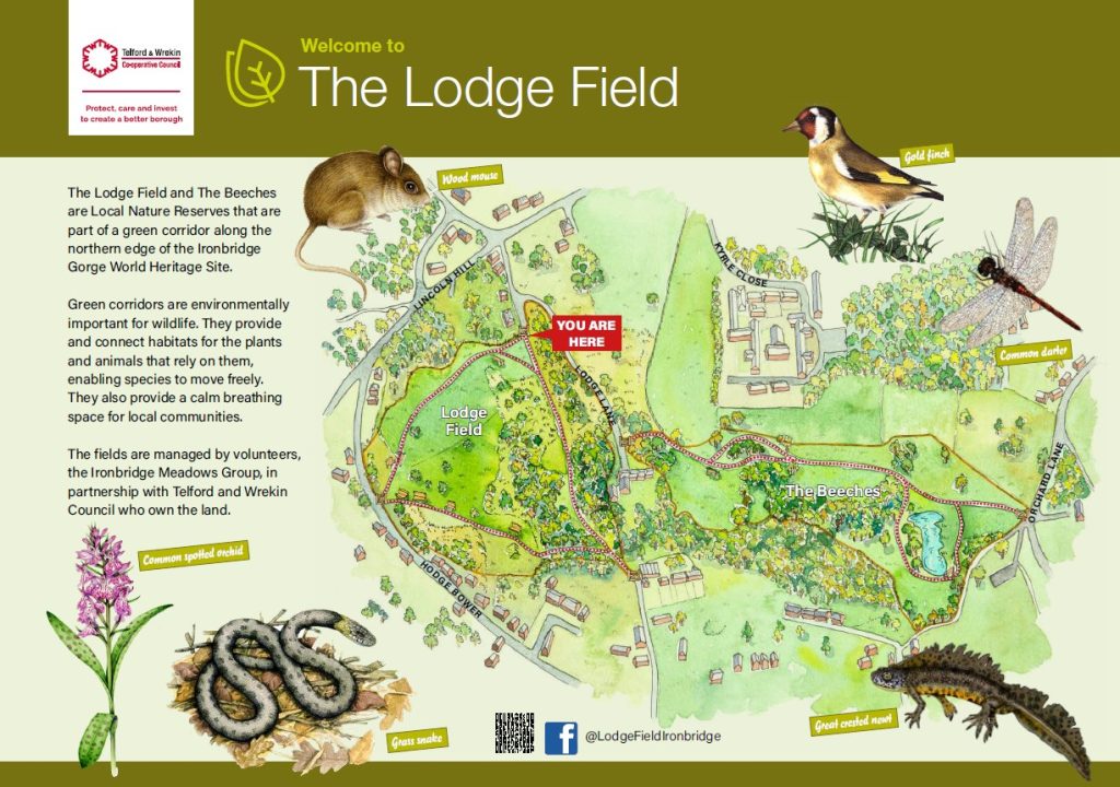 Lodge Field Interpretation Board - Lizzie Harper