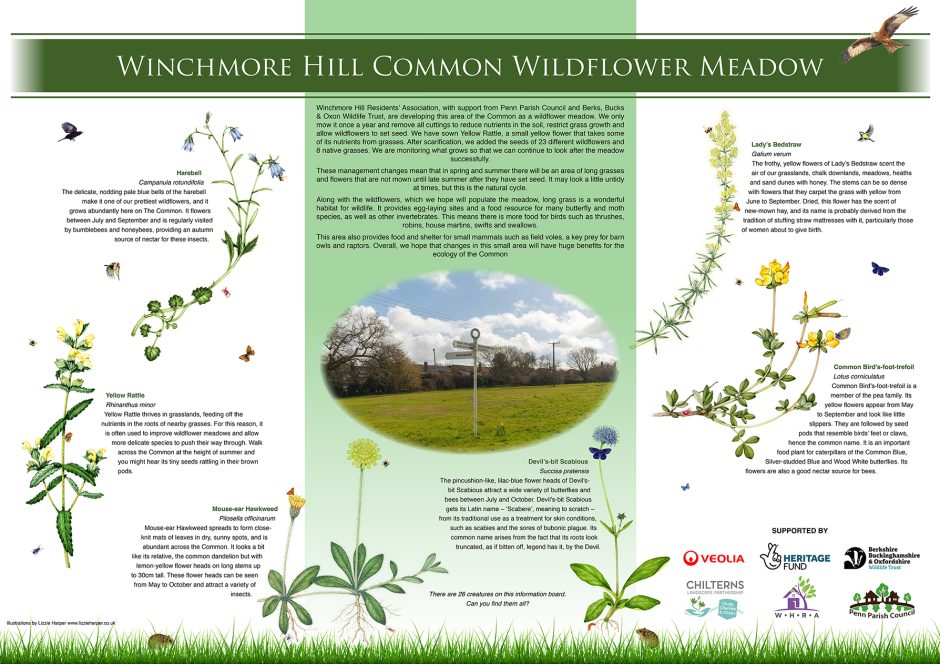 Winchmore Hill Common Interpretation Board - Lizzie Harper
