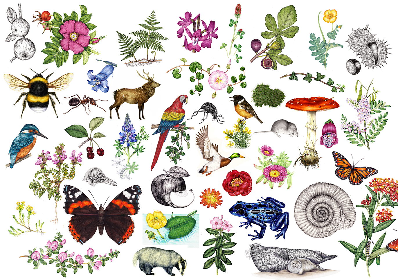 Welcome to Lizzie Harper's Website! - Lizzie Harper