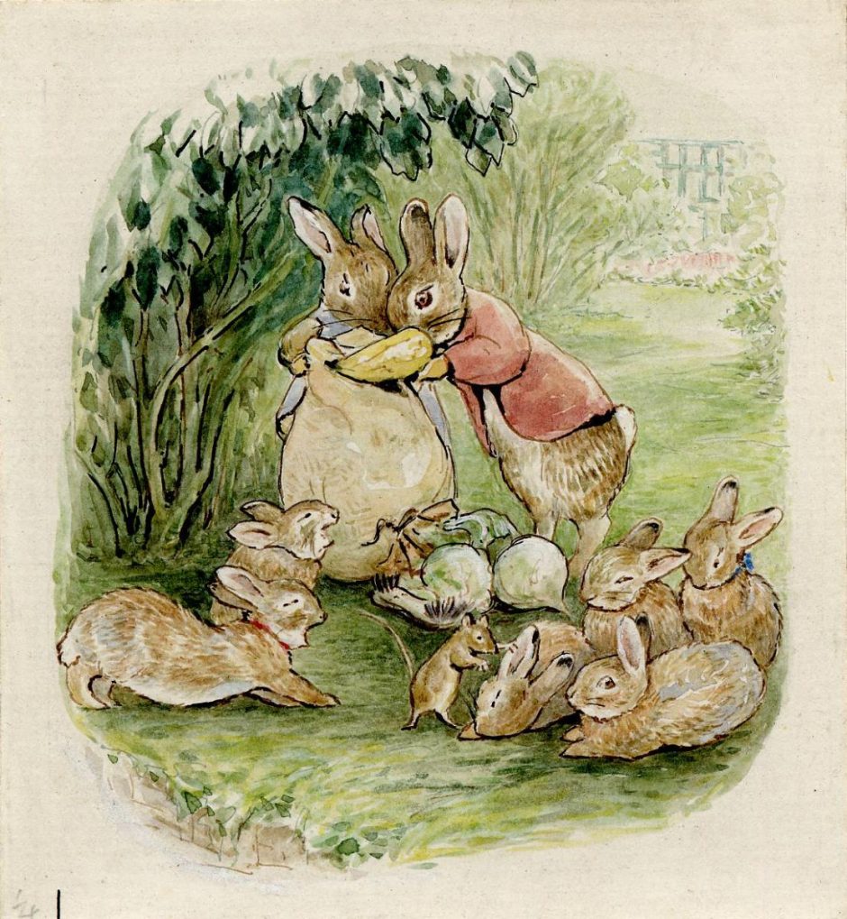 Beatrix potter rabbits - Lizzie Harper