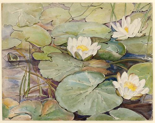 Beatrix Potter: Illustrator and Inspiration - Lizzie Harper