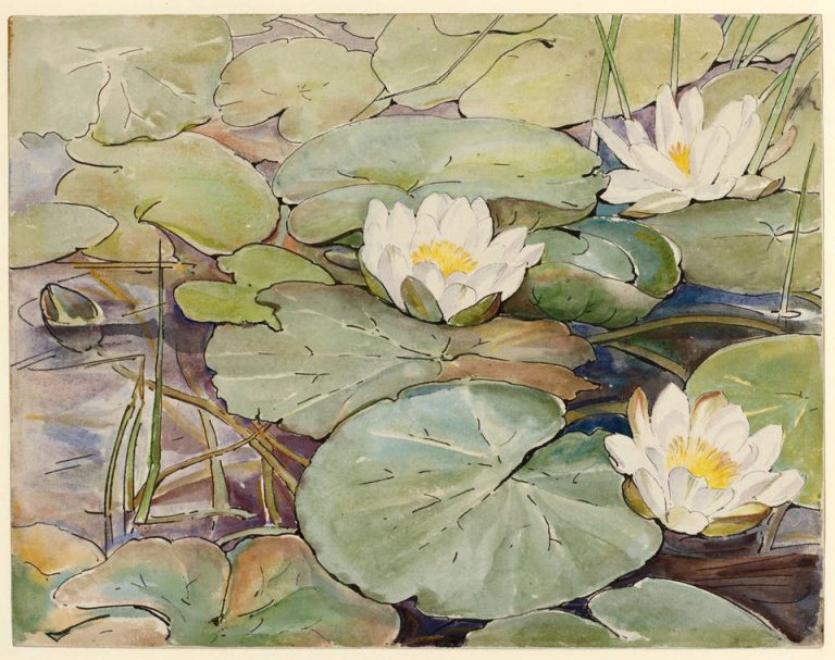 Beatrix Potter: Illustrator and Inspiration - Lizzie Harper