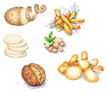 Potato Food Products - Lizzie Harper