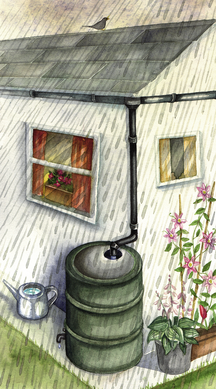 Good Garden: A wildlife Haven - Lizzie Harper