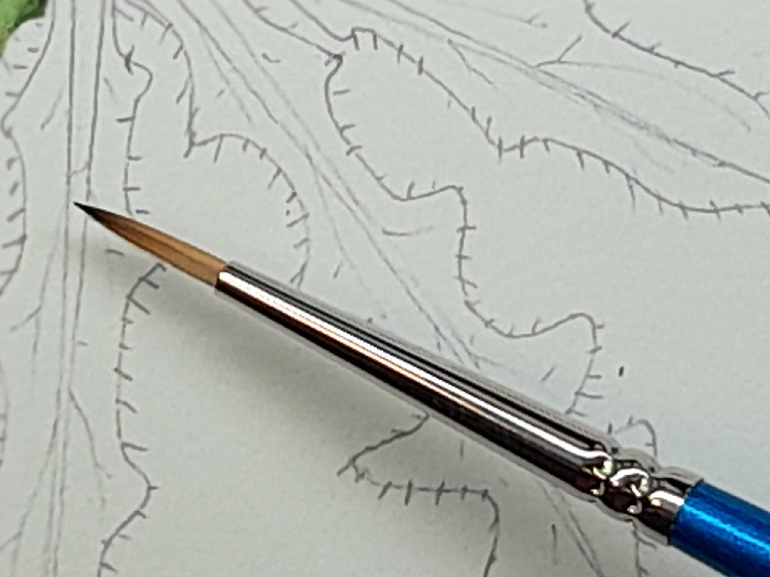 W&N Cotmam series 111 new brush tip - Lizzie Harper