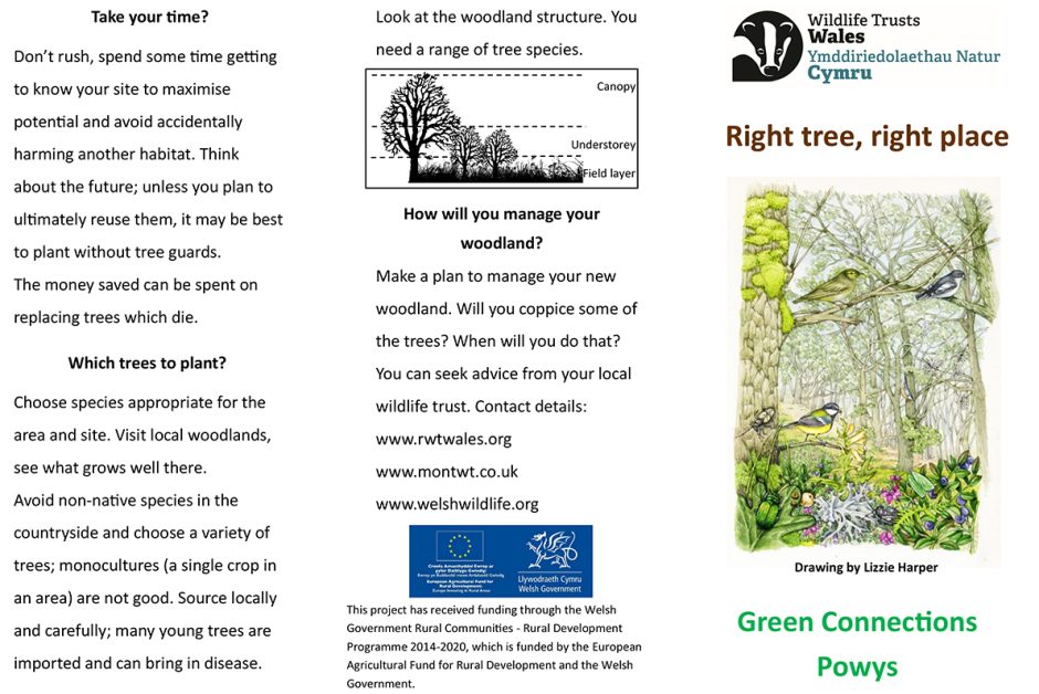 Right tree right place Leaflet version 4-1 - Lizzie Harper