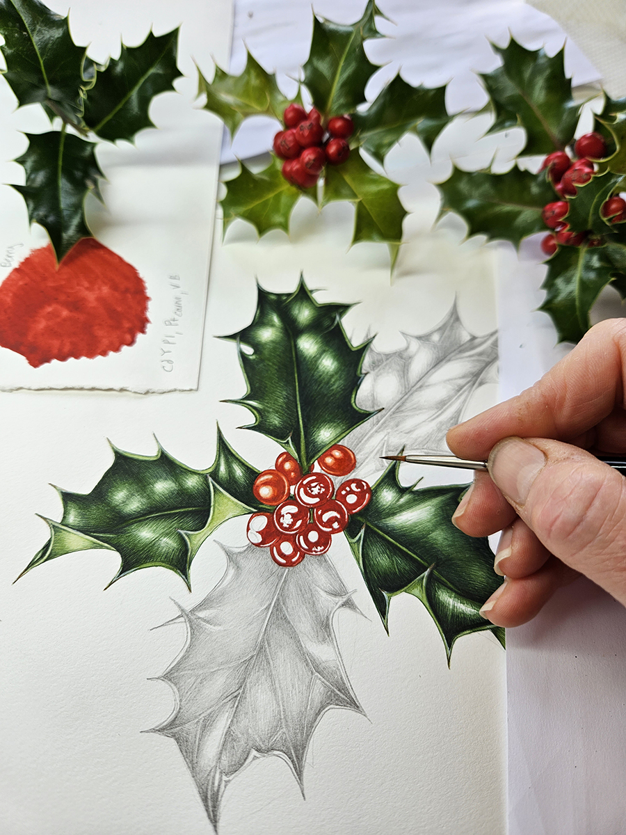 Researching a wildflower - Lizzie Harper