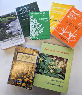 Researching a wildflower - Lizzie Harper