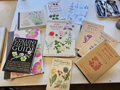 Researching a wildflower - Lizzie Harper