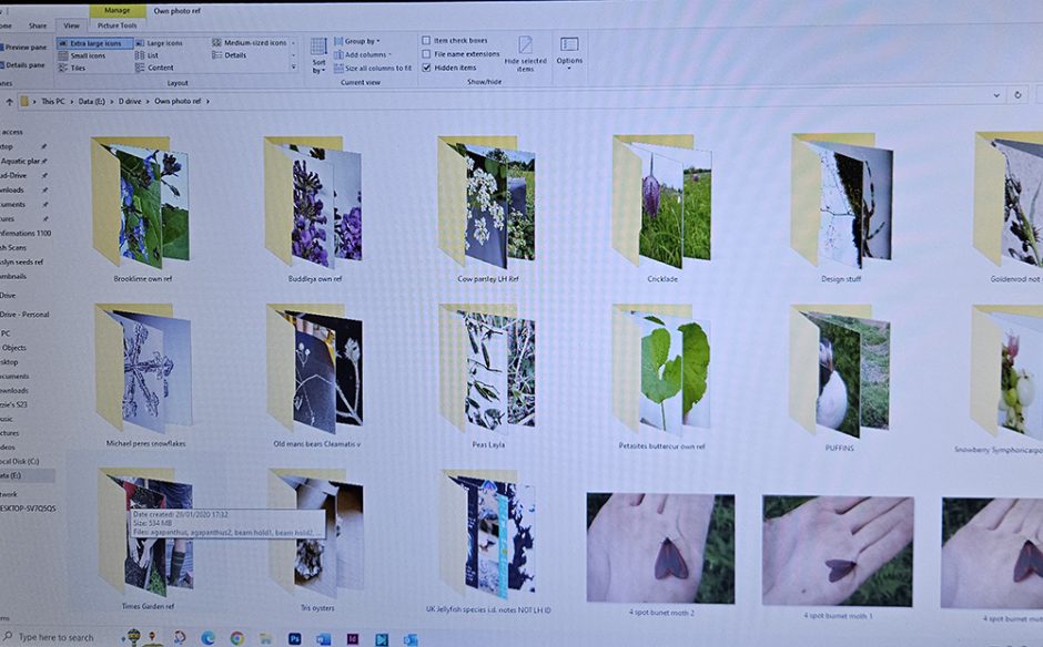 Researching a wildflower - Lizzie Harper