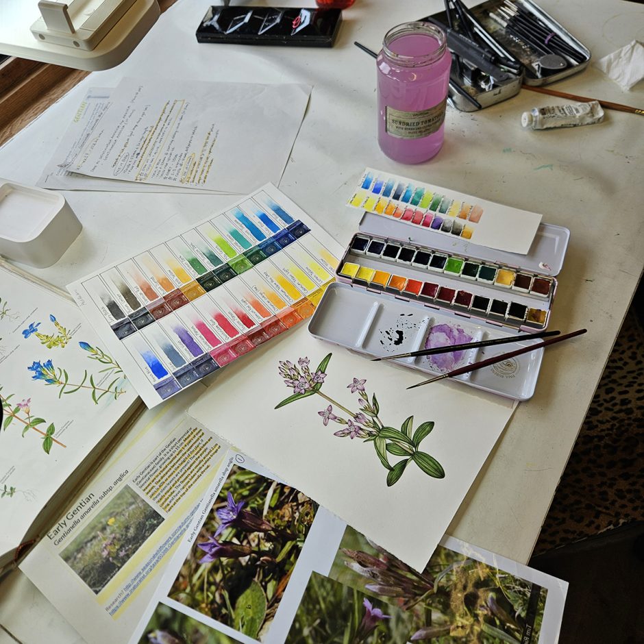 Paul Reubens Artist level Youlan series Watercolour box: Review ...