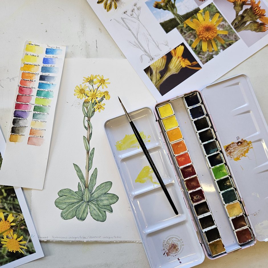 Paul Reubens Artist level Youlan series Watercolour box: Review ...