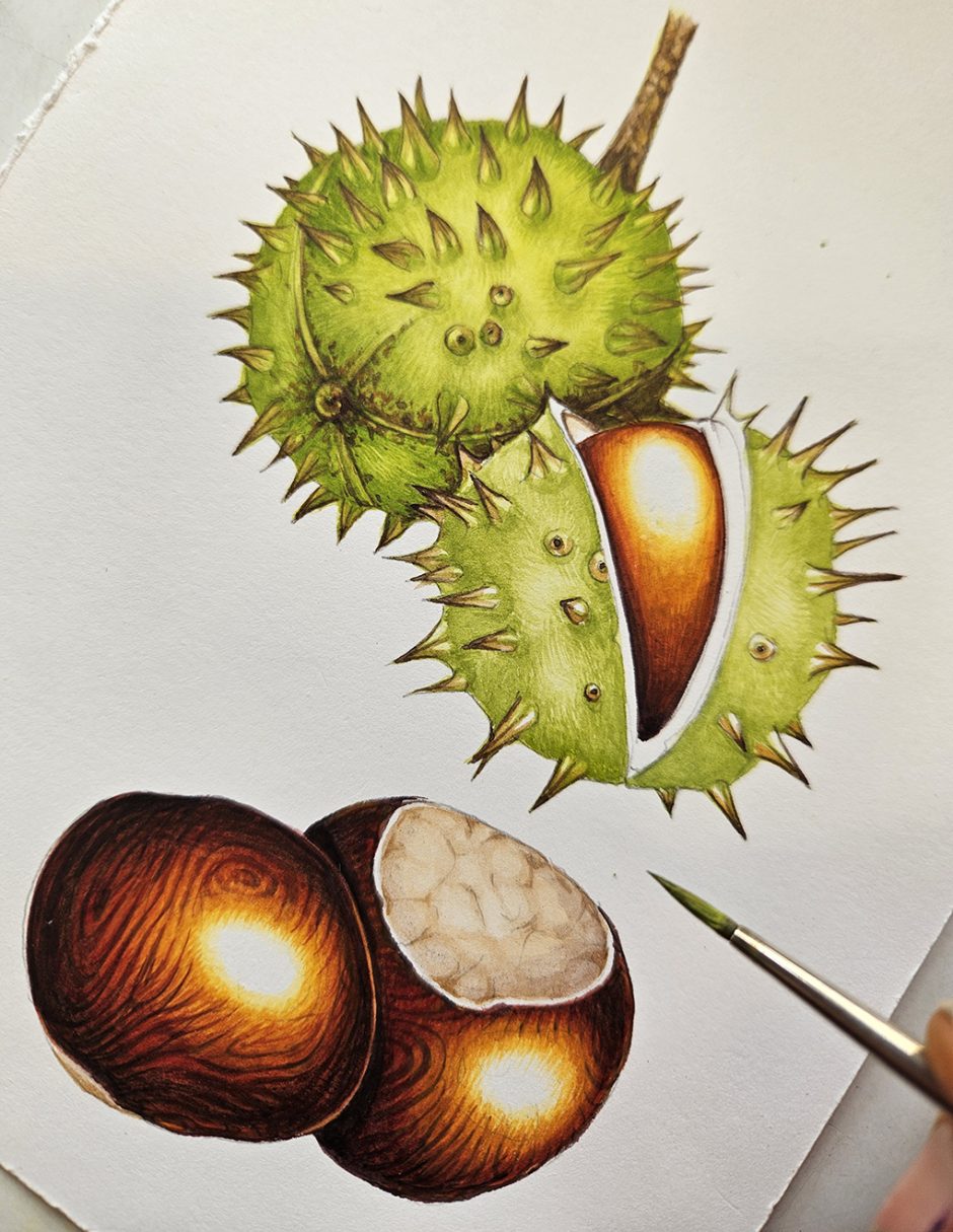 Autumn fruits - Lizzie Harper