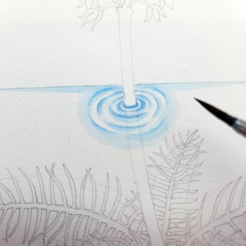 Water violet Step by Step - Lizzie Harper