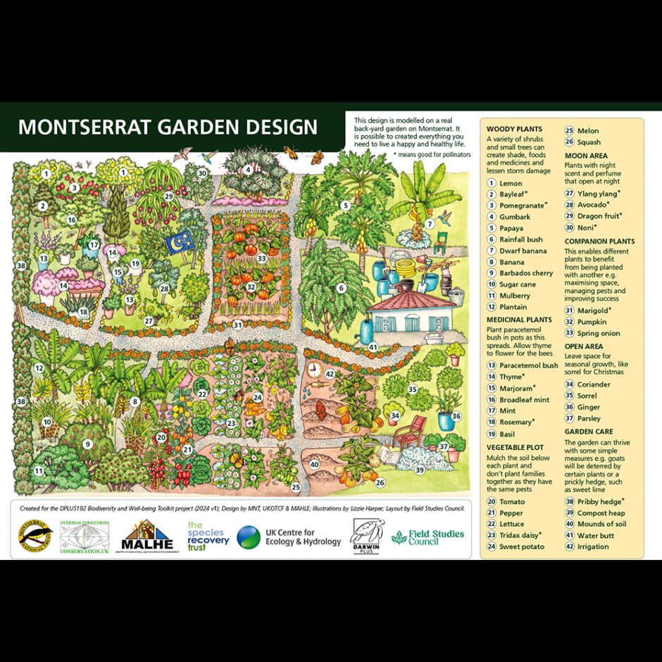 Montserrat Garden Plan: Encouraging Native Species - Lizzie Harper