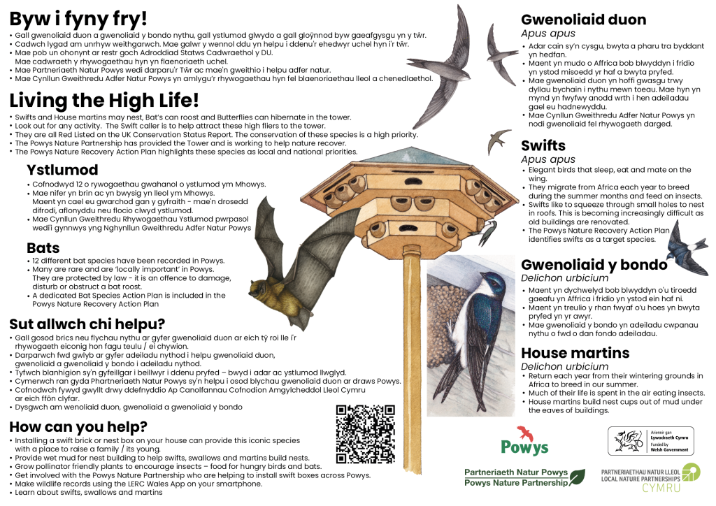 Nesting Tower Information Panel - Lizzie Harper