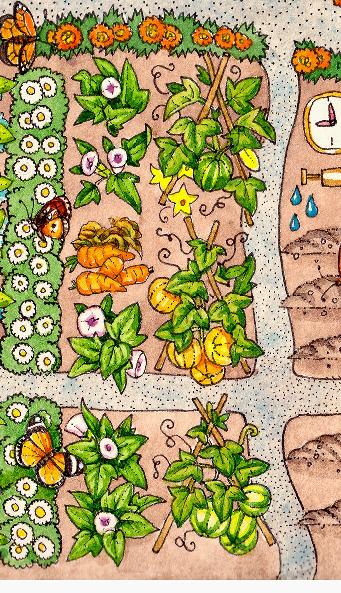 Sweet potato Tridax daisy squash - Lizzie Harper